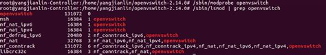 Ubuntu Openvswitch Ovs