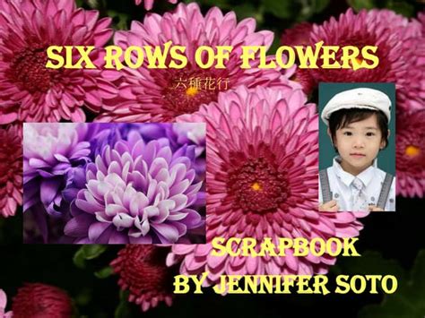 six rows of flowers ppt