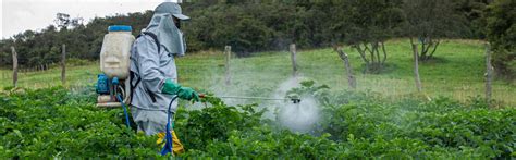 Mosquito Insecticides 2 Types And 4 Chemical Families