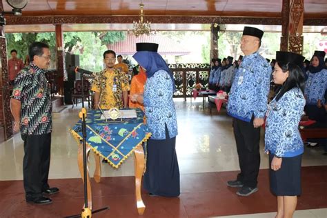 MenPAN RB Resmikan Kategori Honorer Ini Hanya Diangkat Jadi PPPK Paruh Waktu 2024 Ternyata