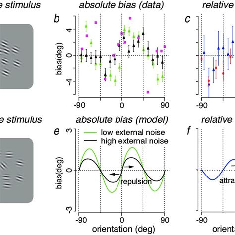 Biases In Perceived Orientation Human Data Vs Model Prediction Ad