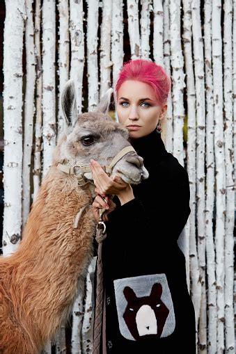 자작나무의 배경에서가 라마 근처 여자 여자 얼굴에 크리에이 티브 밝은 핑크 메이크업 헤어 컬러링 라마 승과 여자의 초상화입니다 가 숲에서 산책 가 옷 라마에 대한 스톡 사진