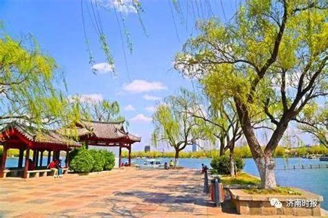 寒潮预警解除，明天起济南气温飙升，春天，来咯
