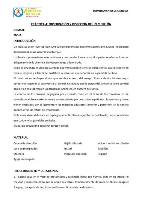 PDF PRÁCTICA 4 OBSERVACIÓN Y DISECCIÓN DE UN PDF fileDEPARTAMENTO
