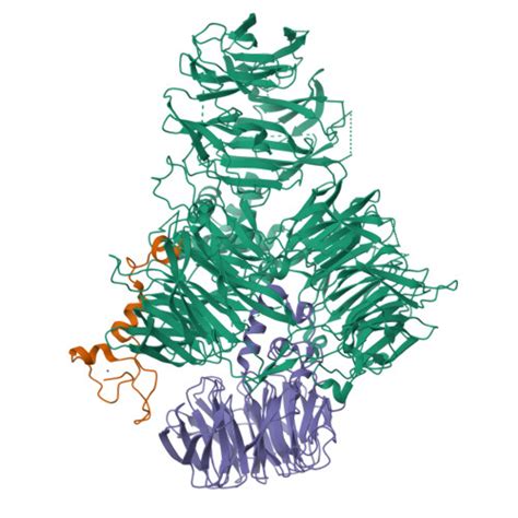 RCSB PDB 8E3Q CRYO EM STRUCTURE OF The Human MPSF