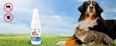 How Does The Spray Of Fleas And Ticks Work