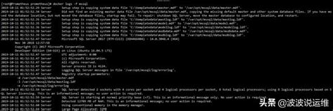 启动sqlserver 基于prometheus grafana监控sqlserver数据库，值得收藏 csdn博客