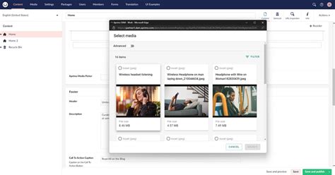 integrating aprimo dam with umbraco cms