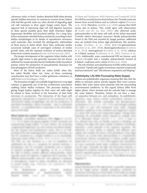 Solution The Lichens Microbiota Still A Mystery Studypool
