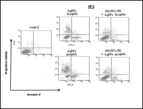 Pretreatment Of Hfob 119 With L Nil Attenuated Agnps Induced Cell