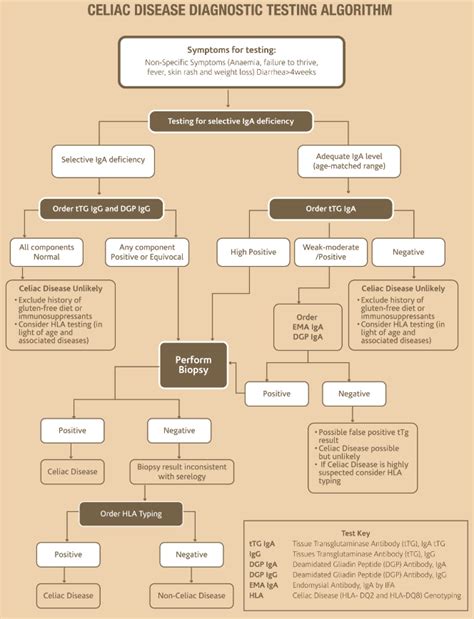 Celiac Disease Its Tests And Diagnostic Procedures