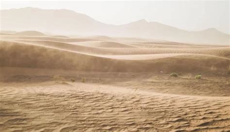 Estos Son Los Estados Por Los Que Pasará La Nube De Polvo Del Sahara