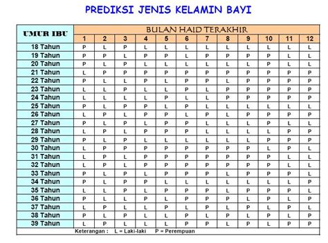 Cara Menentukan Jenis Kelamin Bayi Atau Anak X File