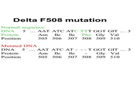 Delta F50r8 Mutation Cystic Fibrosis