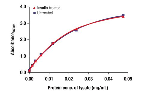 Total Insulin Receptor β Matched Antibody Pair Cell Signaling Technology