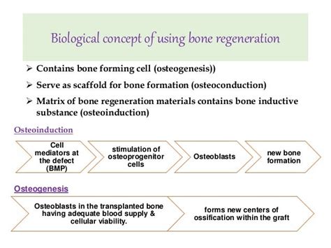 Biomaterials In Bone Regeneration