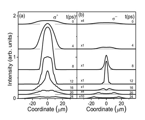 The Spatial Distributions Of A And B Polarized Components