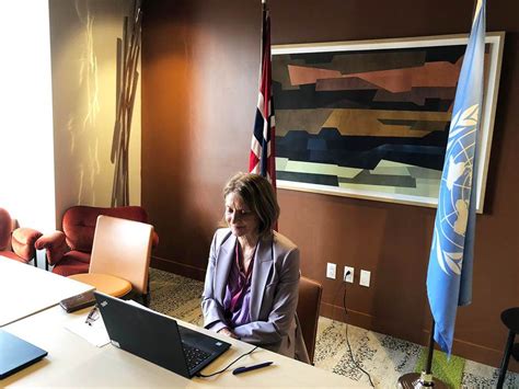 Ecosoc Operational Activities Norway In The Un