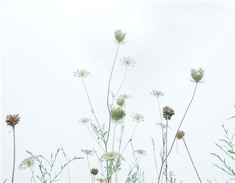 Git Assignment 11 On Behance