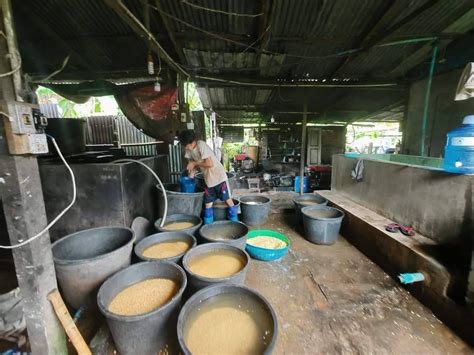 ပဲစျေးနှုန်းမြင့်မှုနဲ့ စက်သုံးဆီအခက်အခဲကြောင့် တနိုင်တပိုင် ပဲပြားလုပ်ငန်းတွေ ရပ်နားရဖွယ်ရှိ