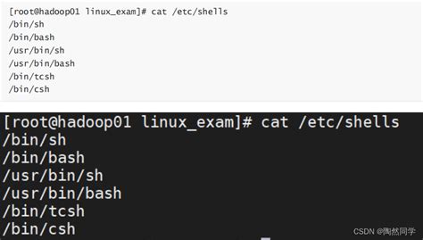 【shell编程】快速入门变量、字符串、传递参数shell脚本入门——变量、字符串 Csdn博客
