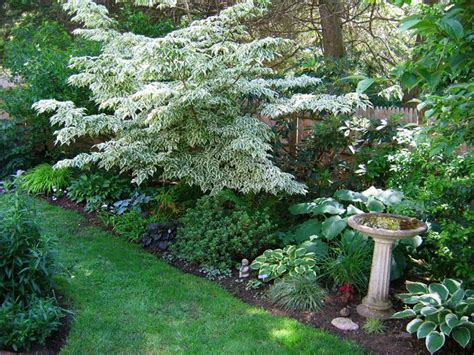 Shady Areas Landscaping Ideas Artofit