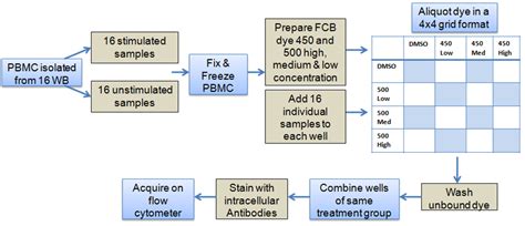 Fluorescent Cell Barcoding Using Flow Cytometry For High Throughput Testing Flow Contract Site