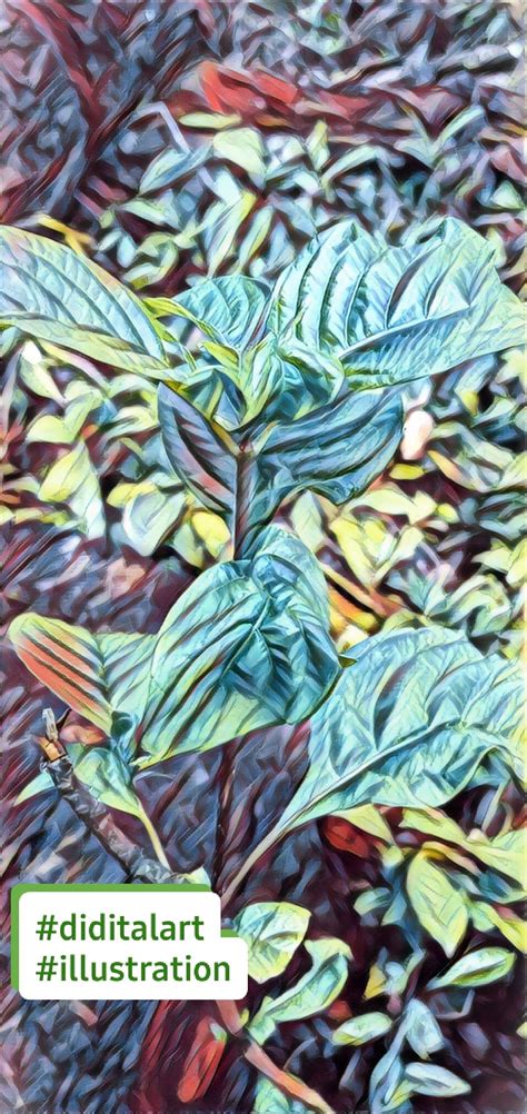 Elroy Rodrigues On Linkedin Adobeillustrator Adobephotoshop Graphicdesign Graphicdesigner