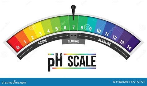 Ph Scale Litmus Paper Color Chart Vector Illustration 80714662