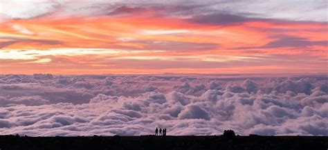 Xamarin To Maui Migration Key Steps For A Smooth Transition