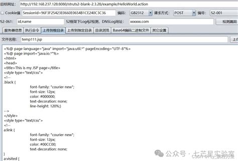 【护网必备】最新struts2全版本漏洞检测工具 Csdn博客