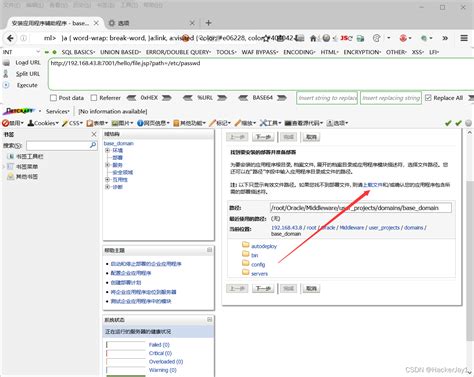 weblogic 文件读取漏洞 serializedsystemini dat csdn博客