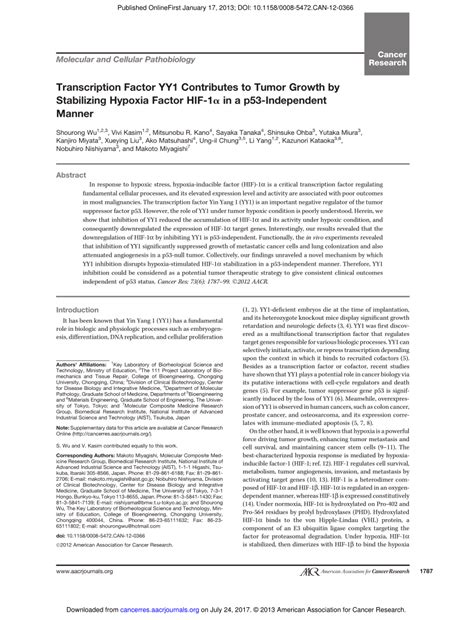 Pdf Transcription Factor Yy1 Contributes To Tumor Growth By