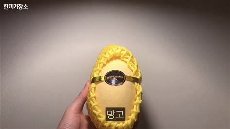 망고에 대한 모든 것