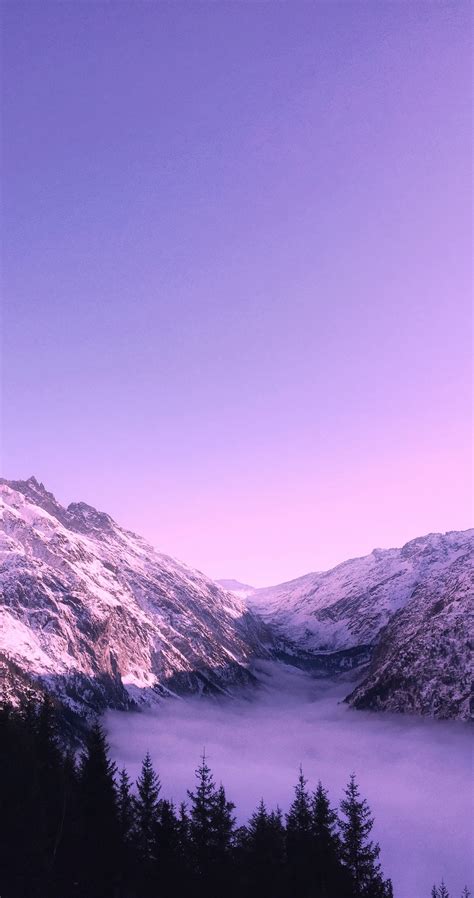 Purple Things Wallpapers Wallpaper Cave