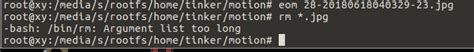 Command Line Deleting Many Files Results In Argument List Too Long