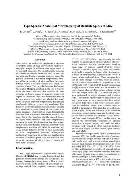 Pdf Type Specific Analysis Of Morphometry Of Dendrite Spines Of Mice