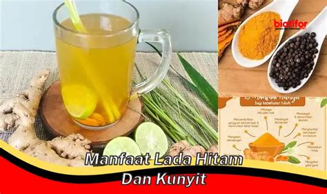 Temukan Rahasia Manfaat Lada Hitam Dan Kunyit Yang Jarang Diketahui