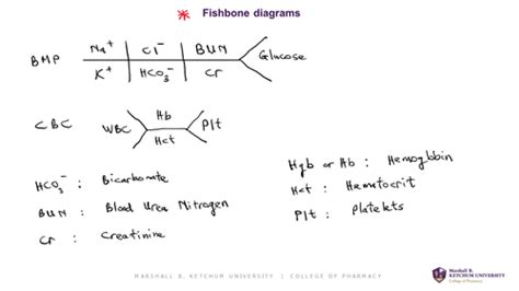 Week 1a Foundational Knowledge Flashcards Quizlet