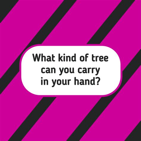 Riddles That Are Full Of Twists Bright Side