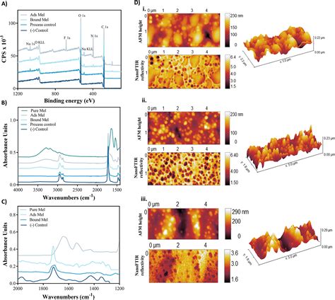 Melimine Modified 3d Printed Polycaprolactone Scaffolds For The Prevention Of Biofilm Related