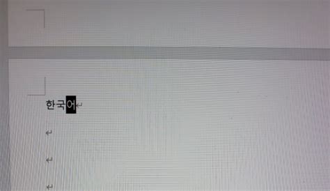 워드 Ms Word 에서 중국어한어병음입력하기 워드 Word 한어병음간체자입력 중국어성조입력 중국어성조입력 네이버 블로그