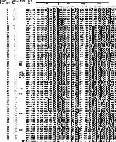 Multiple Sequence Alignment Of The Bhlh Domains Of The 147 Members Of