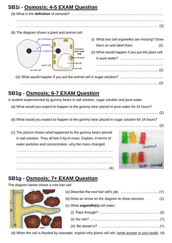 Sb1i Osmosis Differentiated Exam Questions Edexcel Single Biology