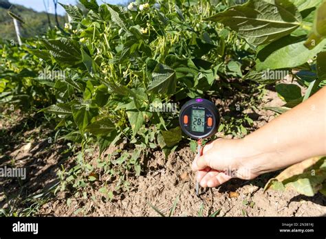 Measuring Temperature Moisture Content Of The Soil Environmental