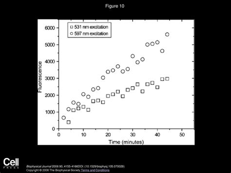 Kinetic Analysis Of The Thermal Stability Of The Photosynthetic