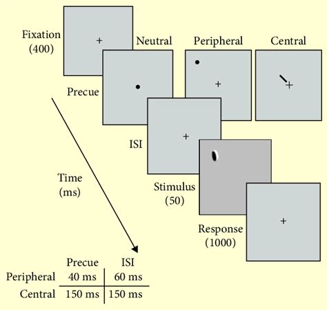 1 Sequence Of Events In A Trial Observers Perform A Two Alternative
