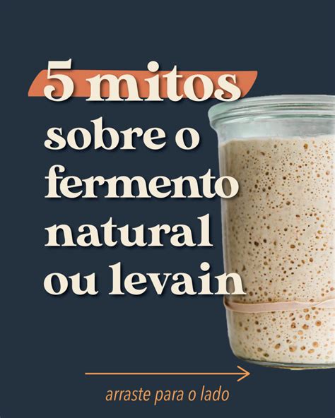Fermento natural o que é Saiba mais de fermentação natural