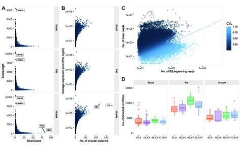 Circrna Profiling A Exon Count Vs Length For Exonic Circrnas And