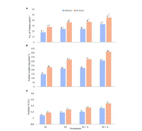 Influence Of Rhizobium Strains Inoculation Of Seed On Nodular
